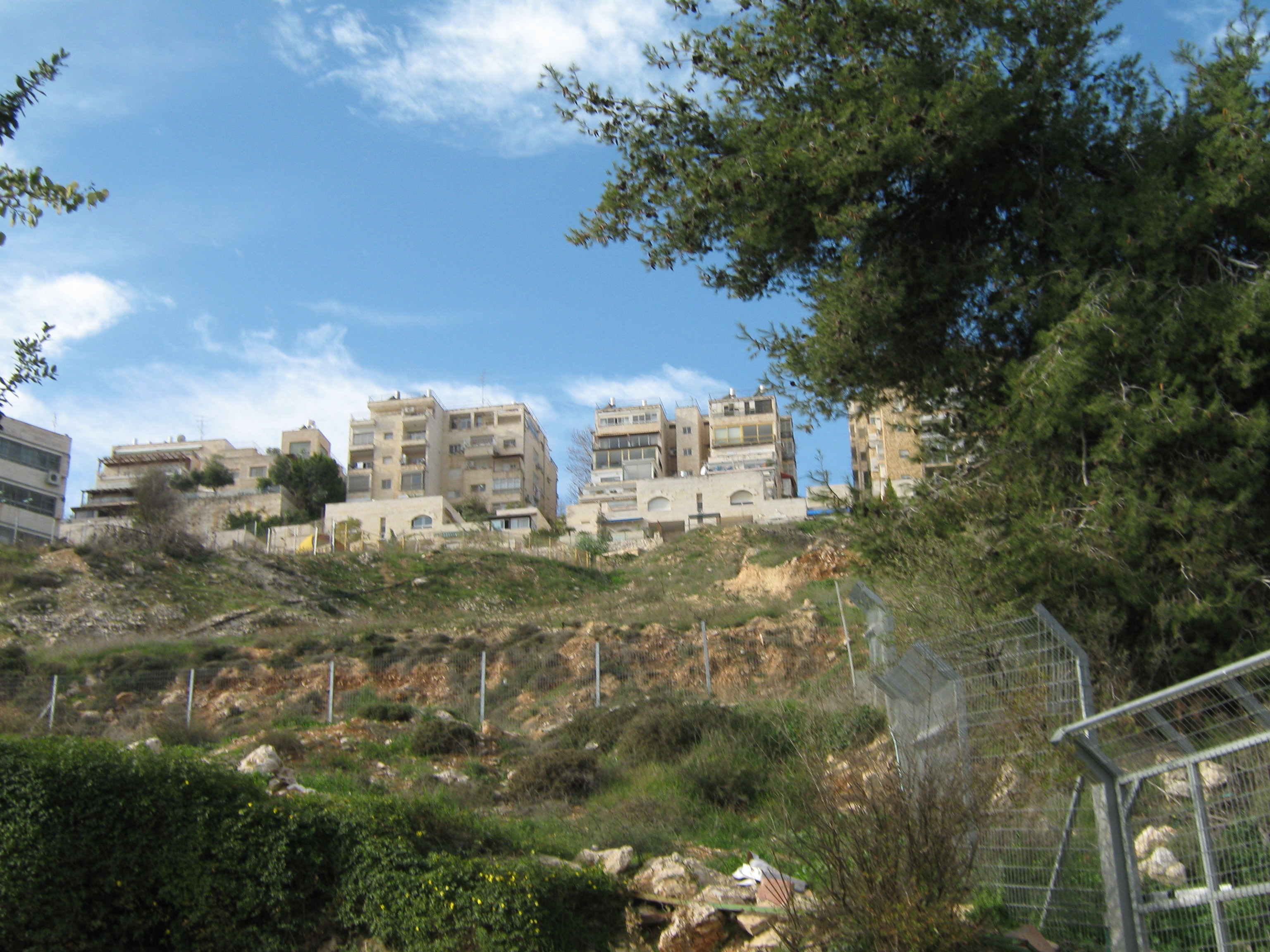 January 2010 – The Real Jerusalem Streets