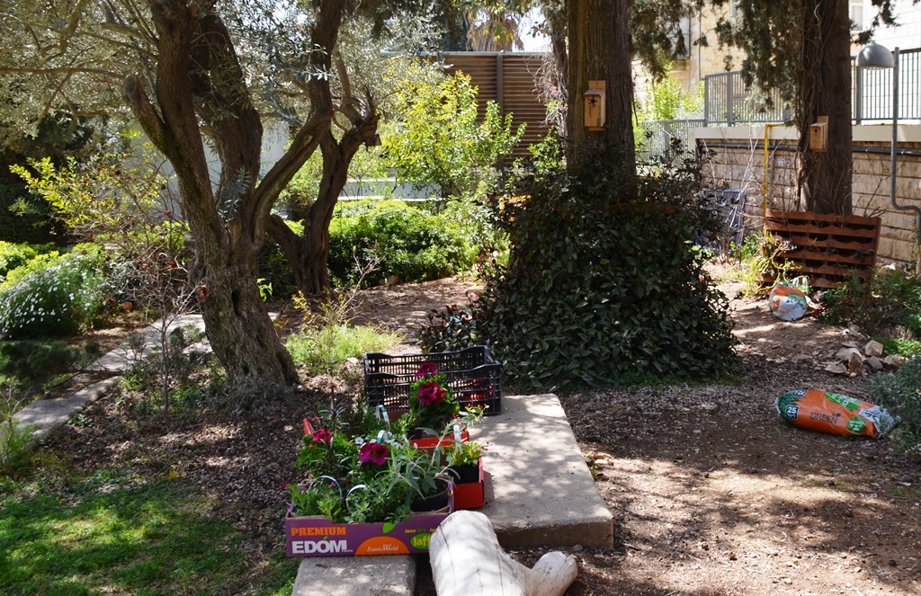 Spring in Jerusalem – The Real Jerusalem Streets