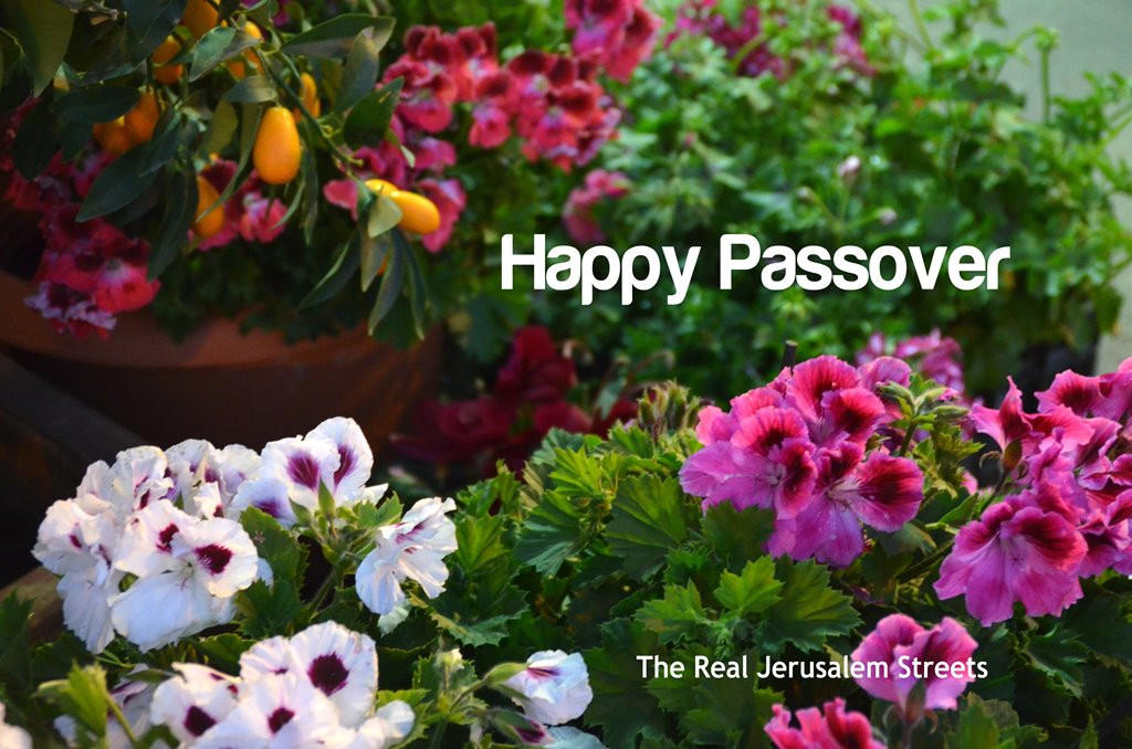 Happy Passover and Shabbat Shalom – The Real Jerusalem Streets