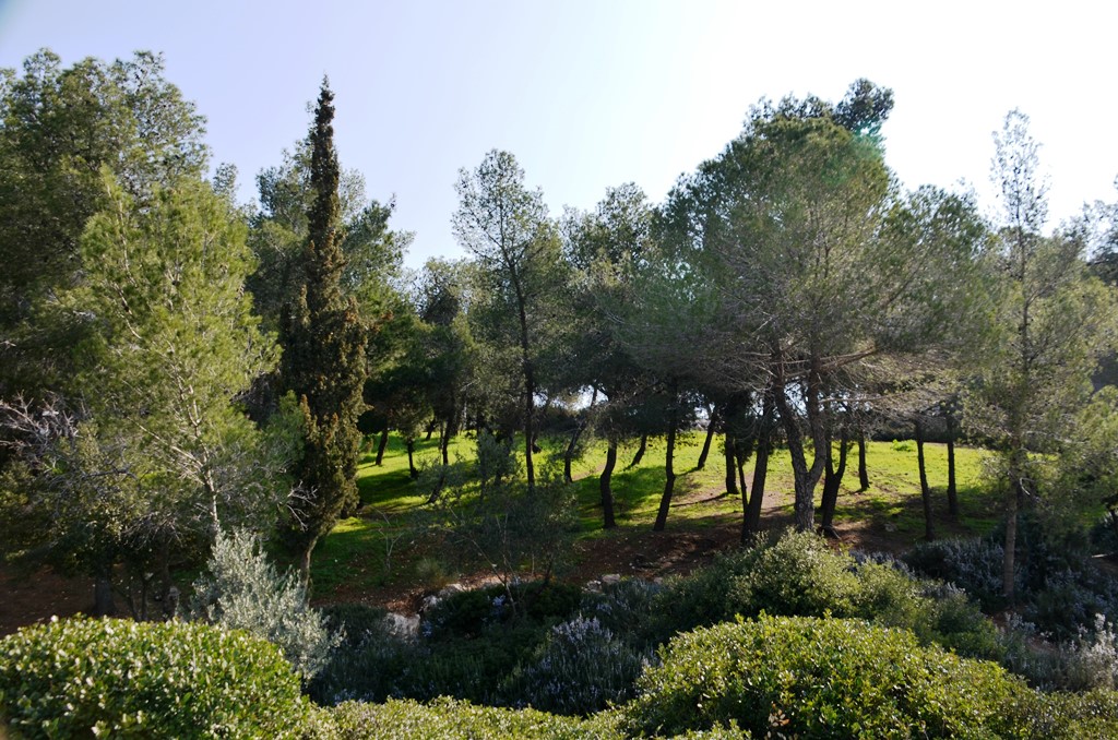 Jerusalem: Aventures to the Moon and Back to Earth – The Real Jerusalem ...