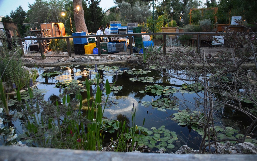 Jerusalem after Shavuot – Festival Season – The Real Jerusalem Streets