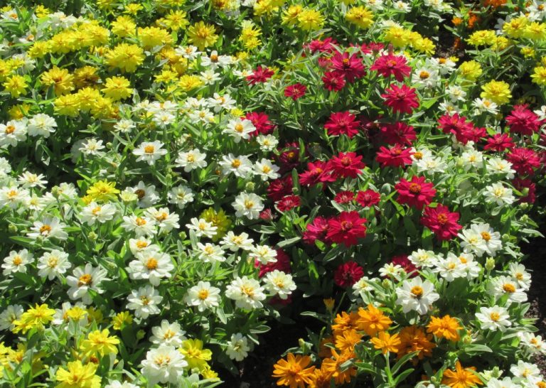 Jerusalem 7 New Signs and Colors for Elul – The Real Jerusalem Streets