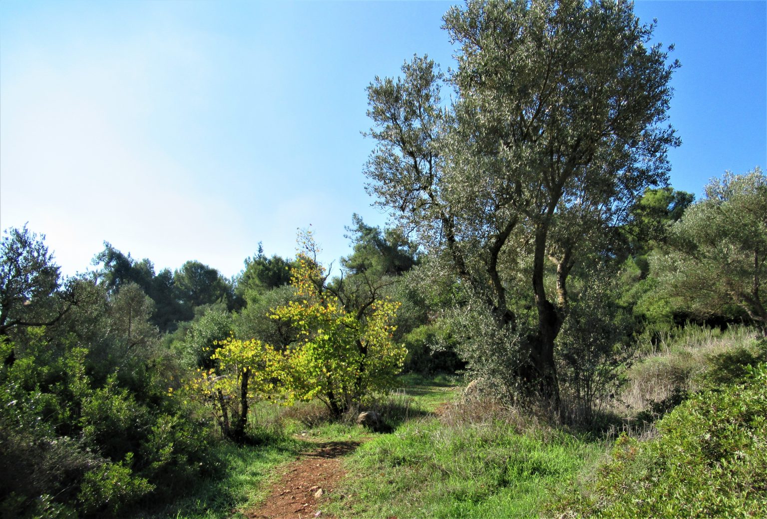 The Week before Hanukkah in Jerusalem – The Real Jerusalem Streets
