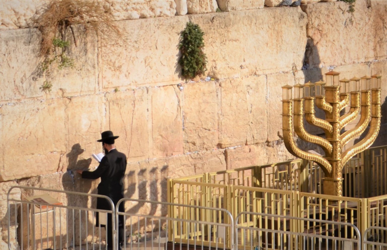 chanukah celebration – The Real Jerusalem Streets