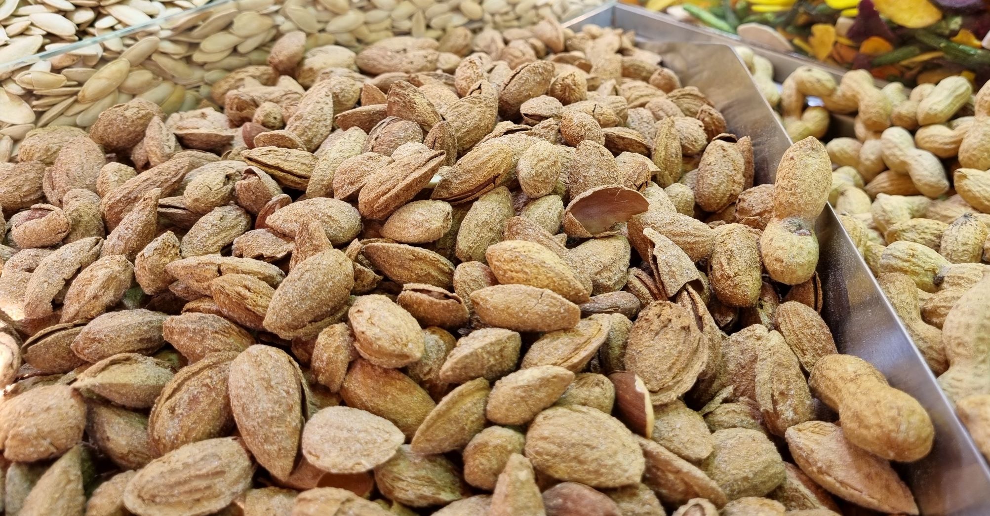 10 Facts for Tu Bishvat: All About Almonds: – The Real Jerusalem Streets