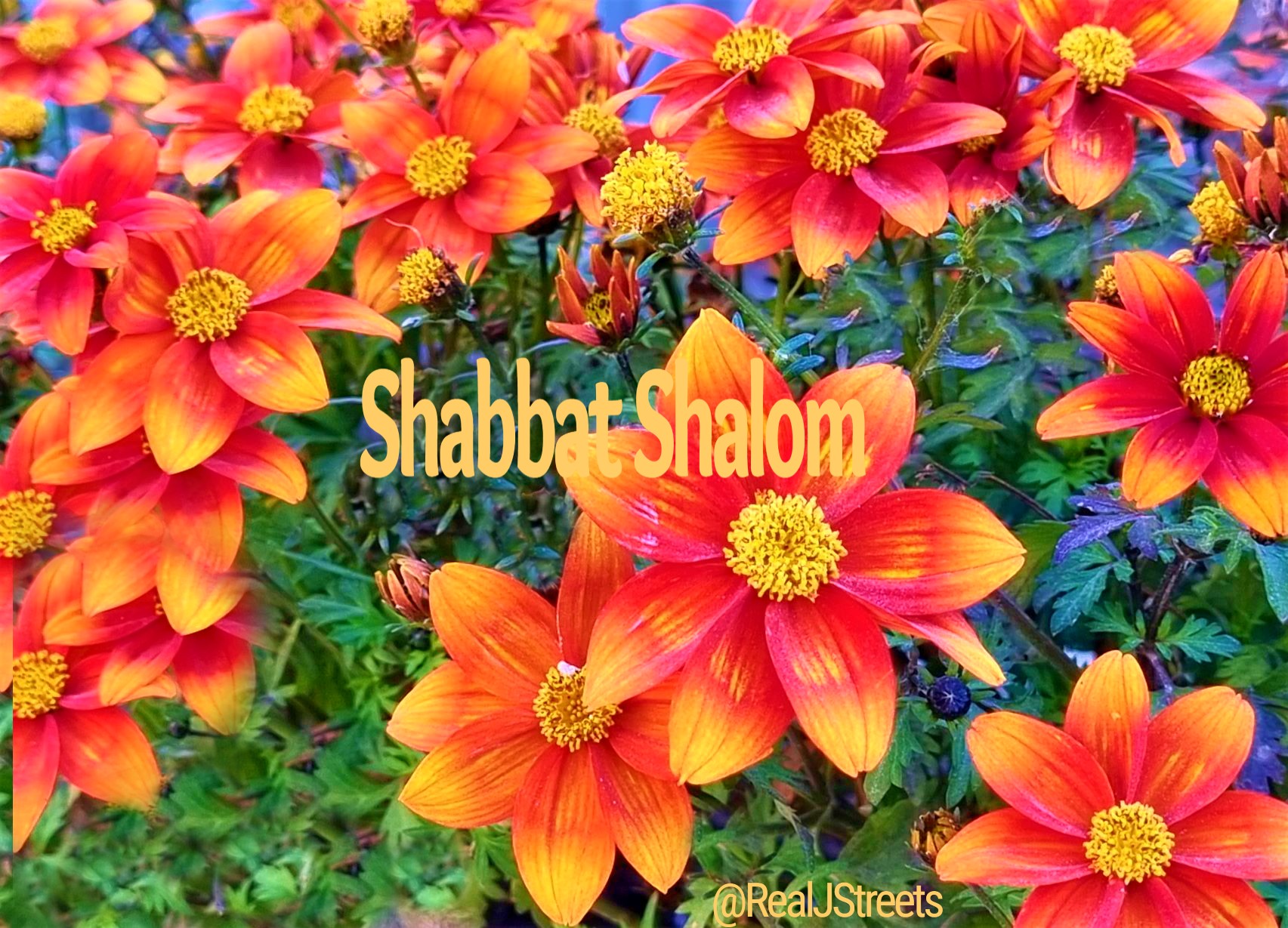 In Jerusalem, February got off to a Busy Start – The Real Jerusalem Streets